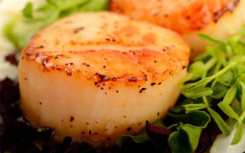 Scallops - Sechelt Fish Market
